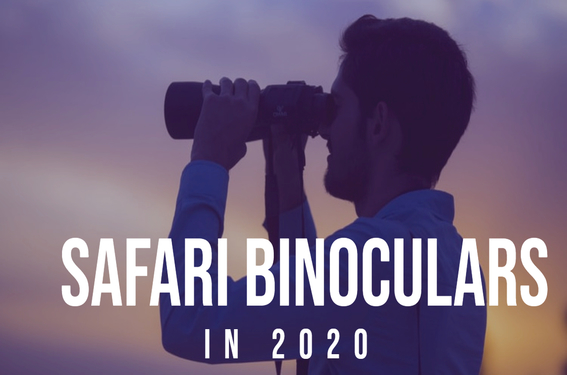 10 Best Safari Binoculars in 2020 | Compact Binoculars Reivews ...